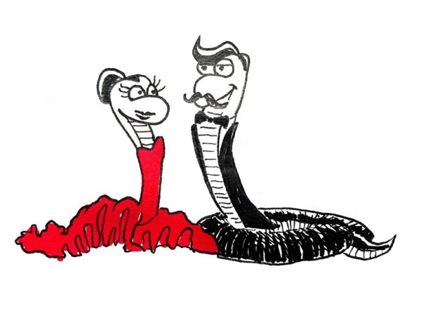 A Snake Tango Tale - Composed by Donna Rhodenizer